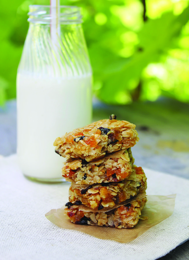Berry Blast Bars - EFNEP - Expanded Food and Nutrition Education Program